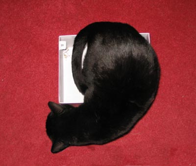 Mad Maudlin, Familiar Friend