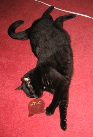 Mad Maudlin, Familiar Friend